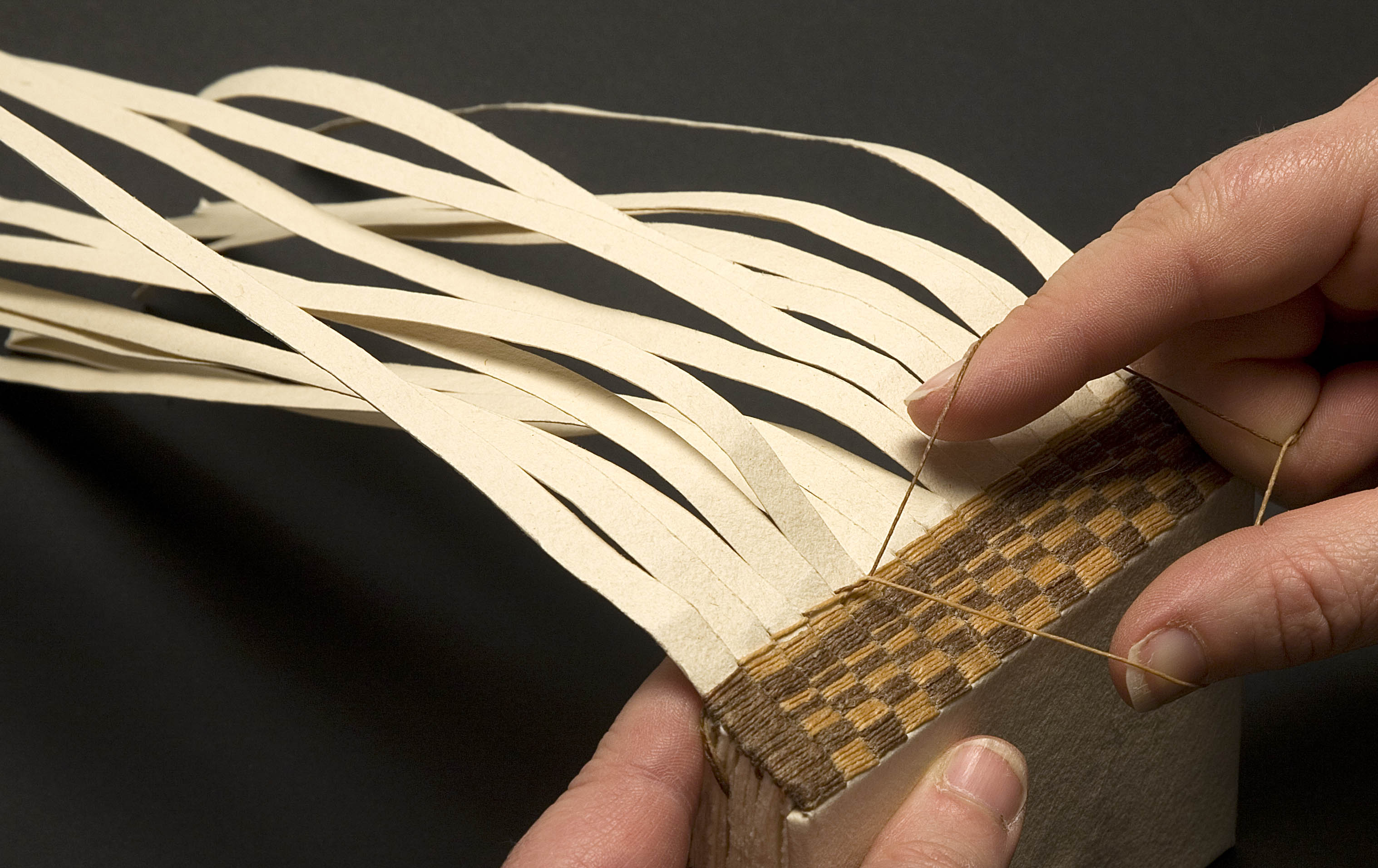 Twined Bindings | Roberta Lavadour